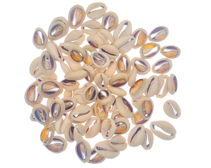 Real Cowrie Shells / Cut Ready for Jewelry Making & Crafts / Shells ...