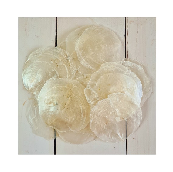 Natural Capiz Shells / Raw Rough Edge Cream White Camar Shells - Etsy