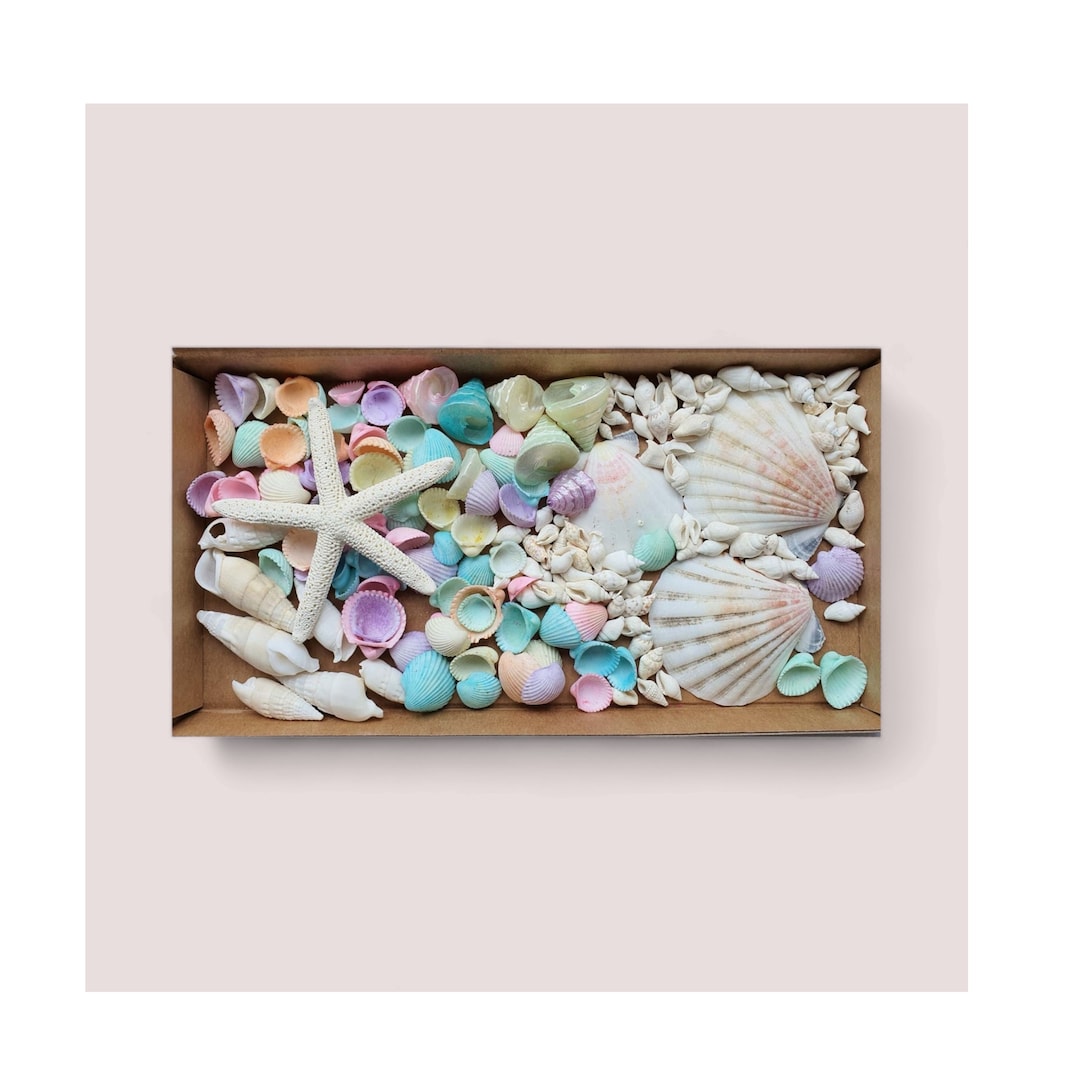 Mixed Pastel Coloured Craft Seashells and White Pointer Starfish Shell ...