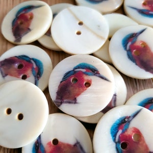 Bird Buttons 25mm Shell Button British Garden Bird Designs - Barn Owl ...