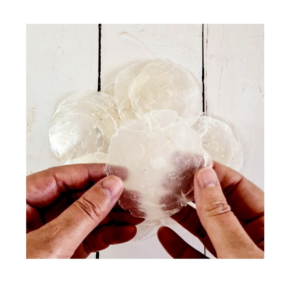 Natural Capiz Shells / Raw Rough Edge Cream White Camar Shells - Etsy UK