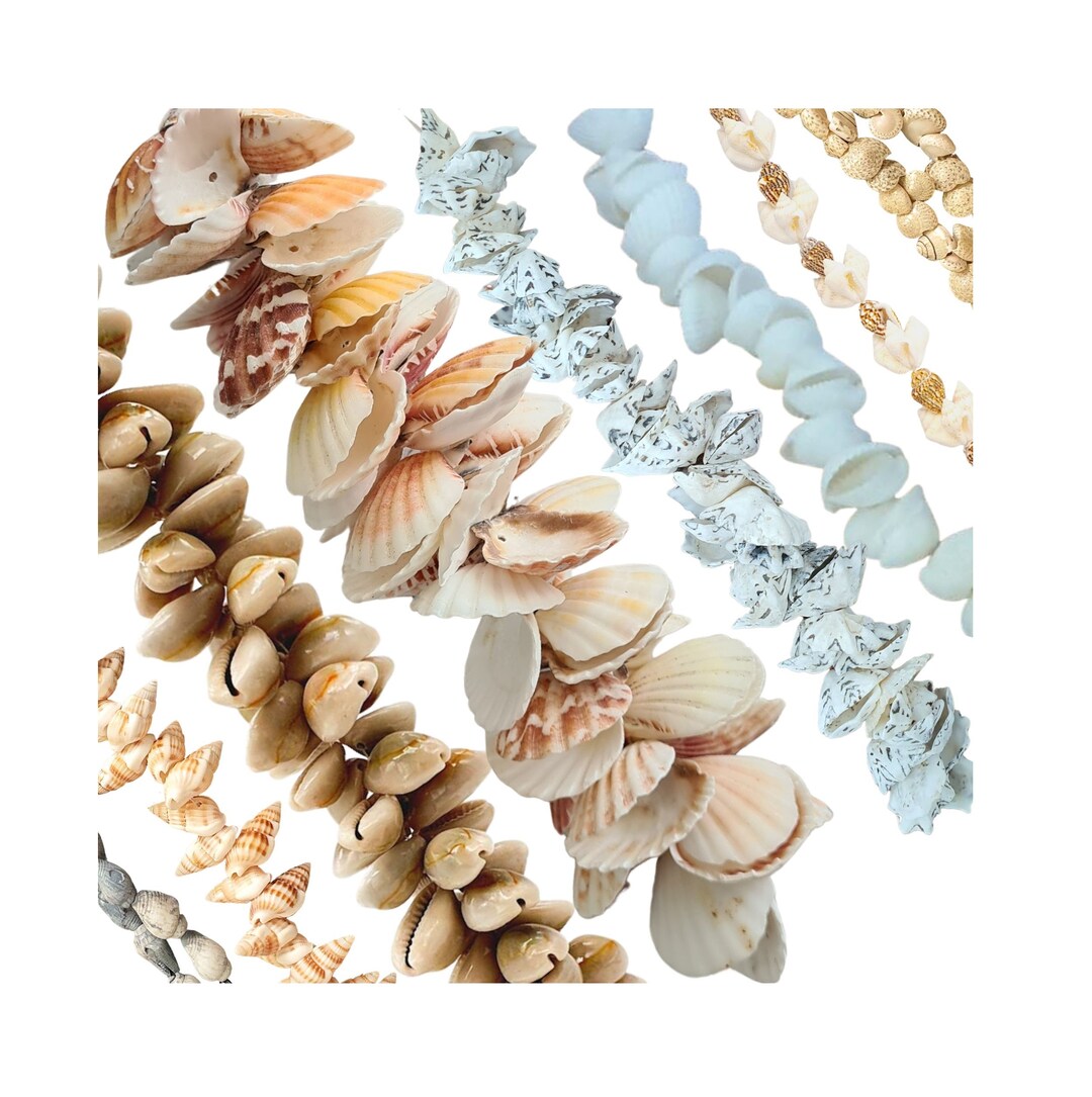 Natural Sea Shell Beads for Jewelry Making / Shell Crafts / Beach Shell ...