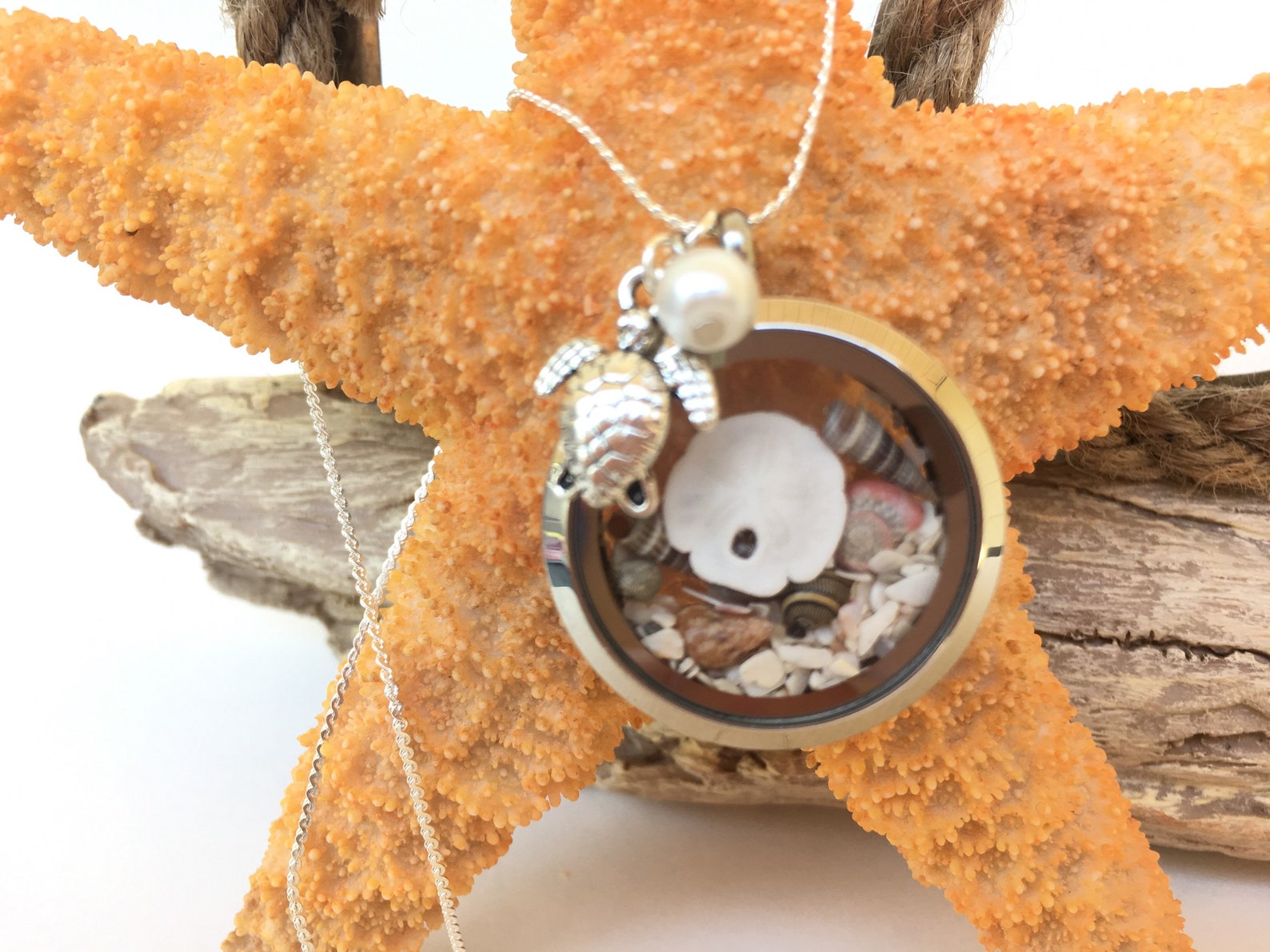Sand Dollar Locket, Sand Dollar, Sand Dollar Necklace, Shell Locket ...