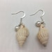 Shell Earrings, Beach Earrings, Ocean Earrings, White Shells, Shell ...