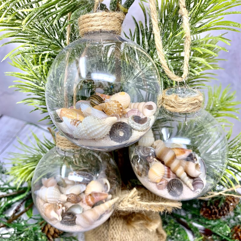Shell Ornaments - Etsy