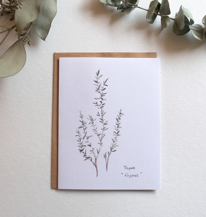 Garden Herb Notecards - Set of 4 Watercolor Herbs: Parsley, Sage ...