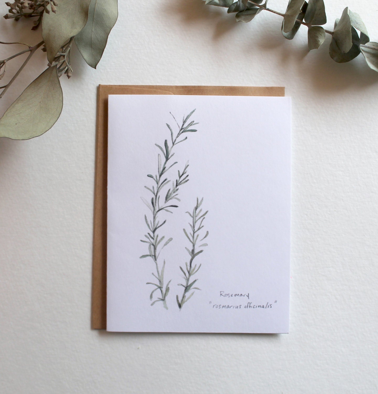 Garden Herb Notecards - Set of 4 Watercolor Herbs: Parsley, Sage ...