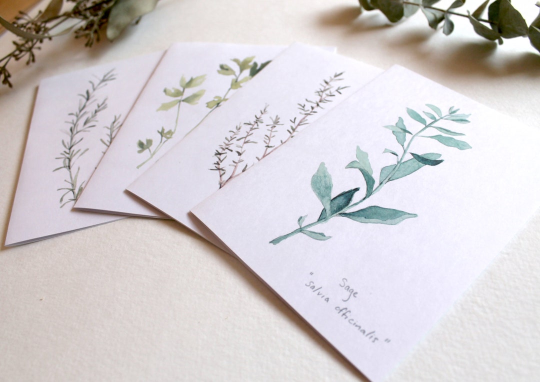 Garden Herb Notecards - Set of 4 Watercolor Herbs: Parsley, Sage ...
