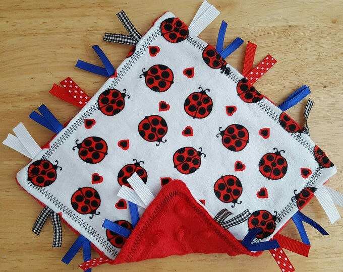 Lady Bug Crinkle Sensory Tag Blanket Baby Tag Blanket Tag - Etsy