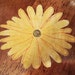 Simple, Quick and Cute Scribble Daisy Applique Design in 3 Sizes ...