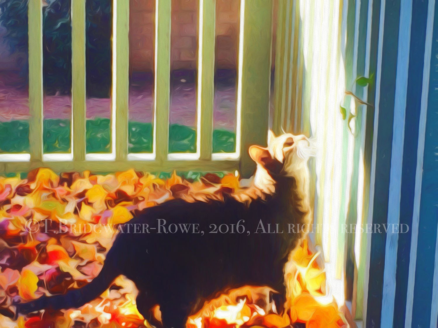 Cat Lover Gift Gatos Nature Art Cat Photography Cat Art - Etsy España