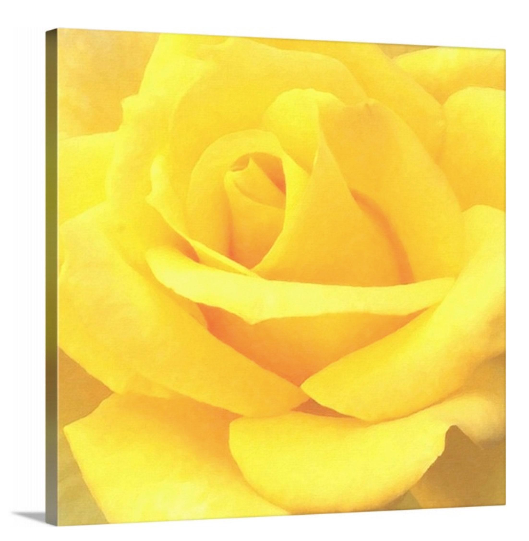 Flower Art Nature Print Yellow Flowers Yellow Home Decor - Etsy