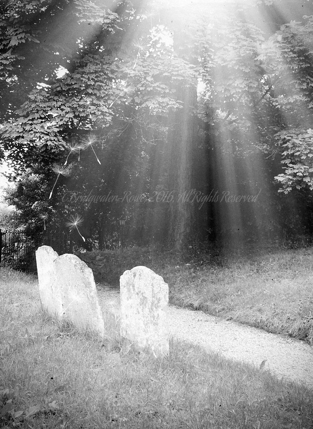 Cemetery Art, Graveyard, Cemetery Art, Halloween Decor, Gothic Home ...