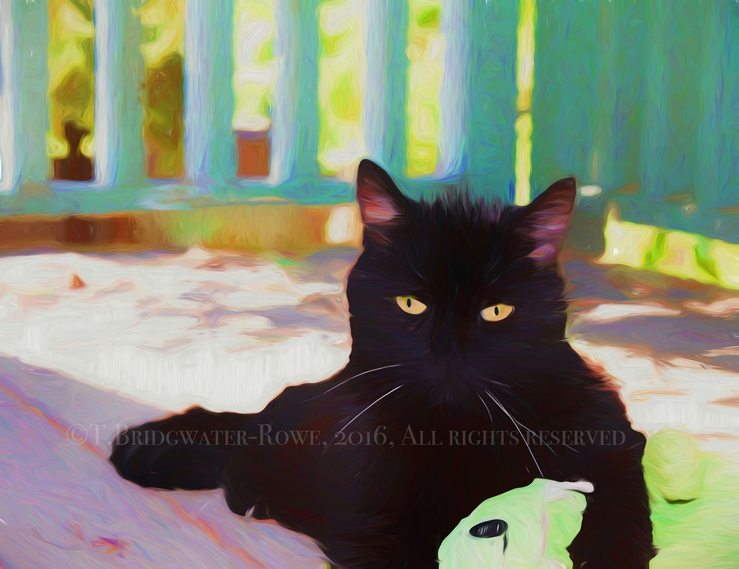 Black Cat Art, Black Cat Print, Black Cat Portrait, Black Cat Art Print ...