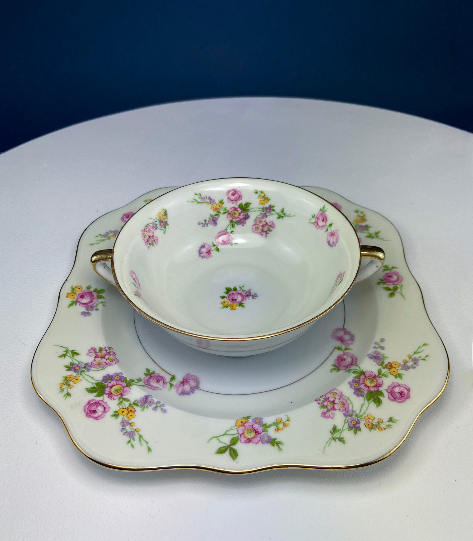 Antique Baronet China, Sylvia Porcelain Bowls and Plates, Set of 6 - Etsy