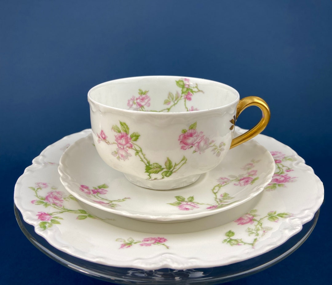 Antique Limoges Tea Cup and Saucer. Hand-painted Porcelain by Haviland ...