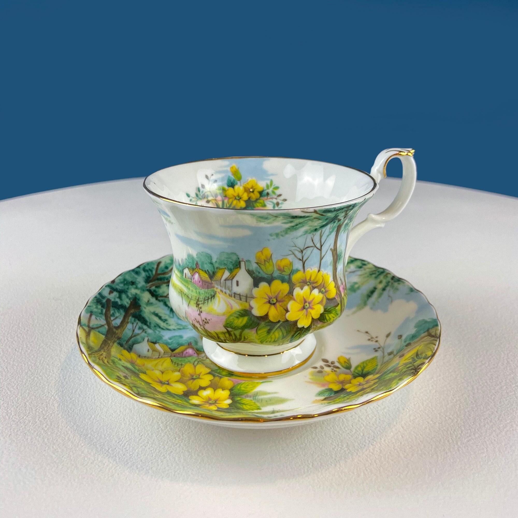 Royal Albert Primrose Hill Cup and Saucer, Vintage Bone China Tea Set ...