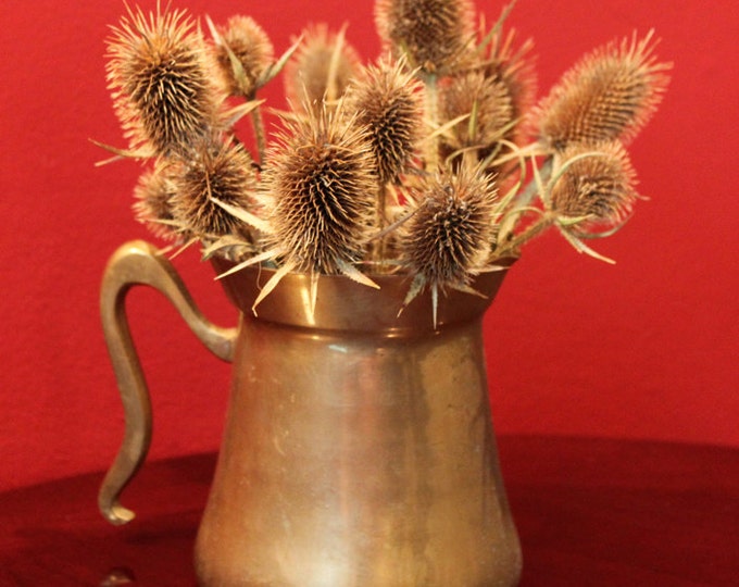 Dried Plants Arrangement in Repurposed Brass Pitcher. Home Dried Plants ...
