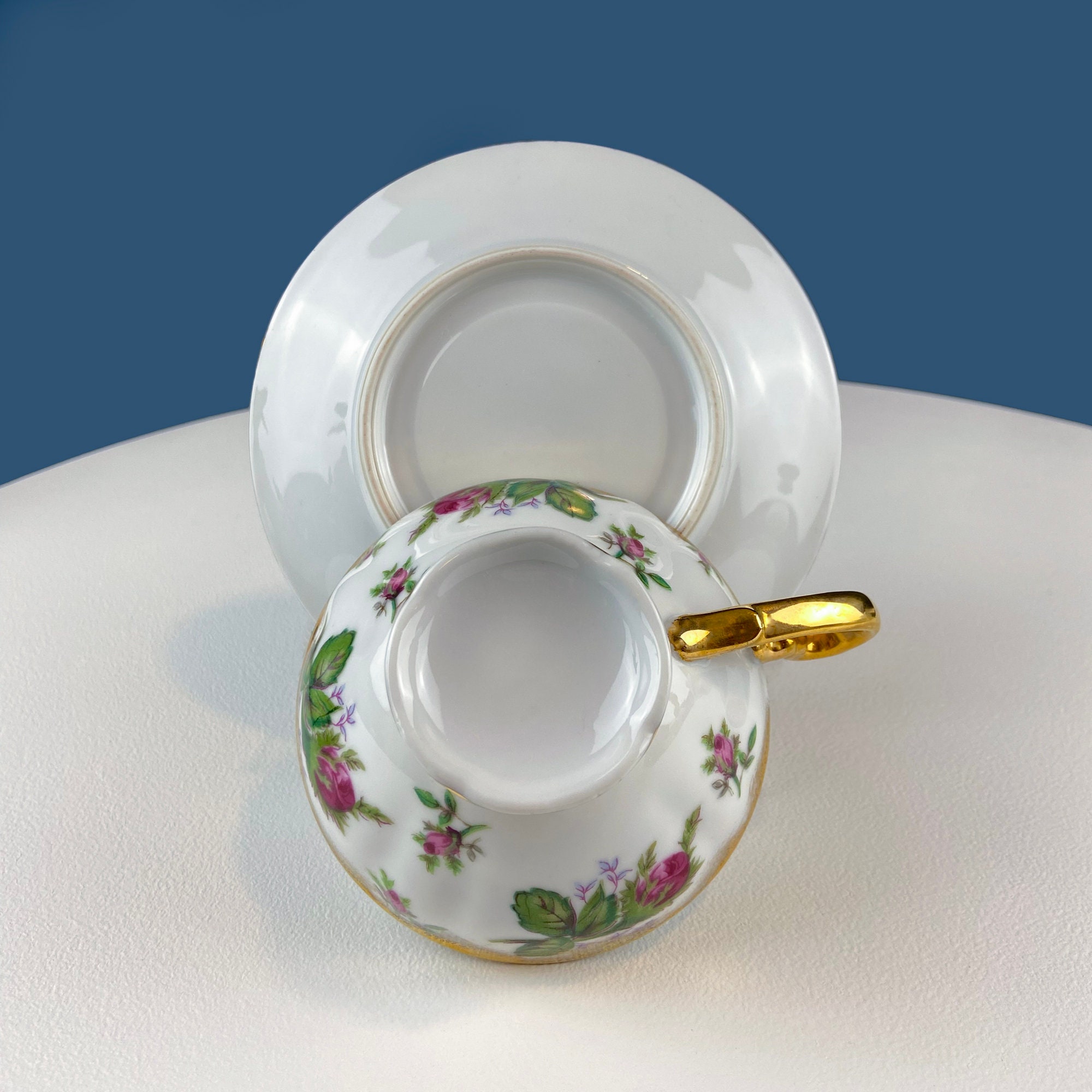 Vintage Moss Rose Tea/coffee Cup and Saucer. Collectible Porcelain Set ...