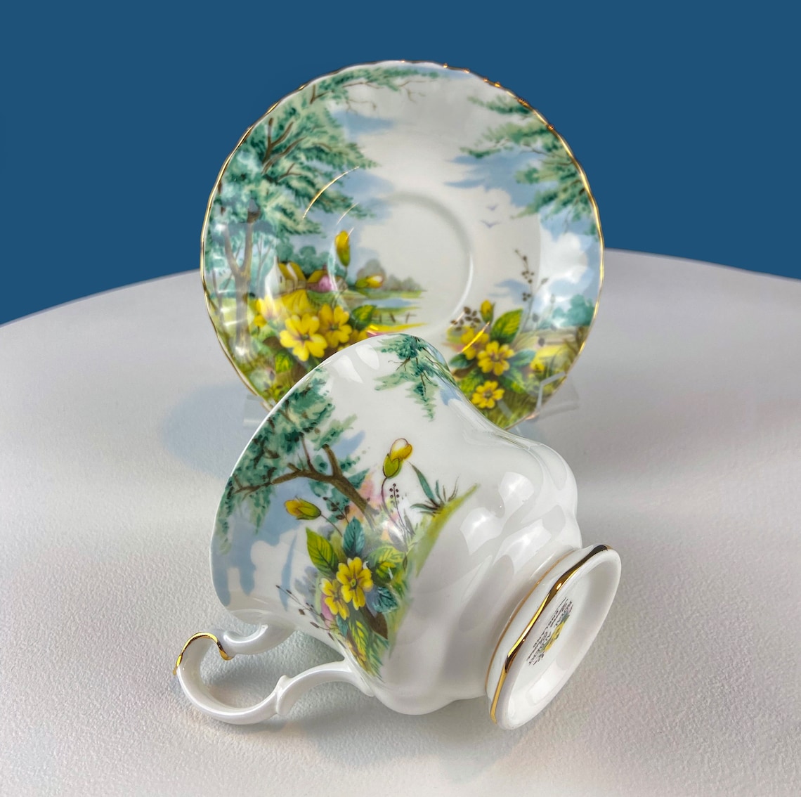 Royal Albert Primrose Hill Cup and Saucer, Vintage Bone China Tea Set ...