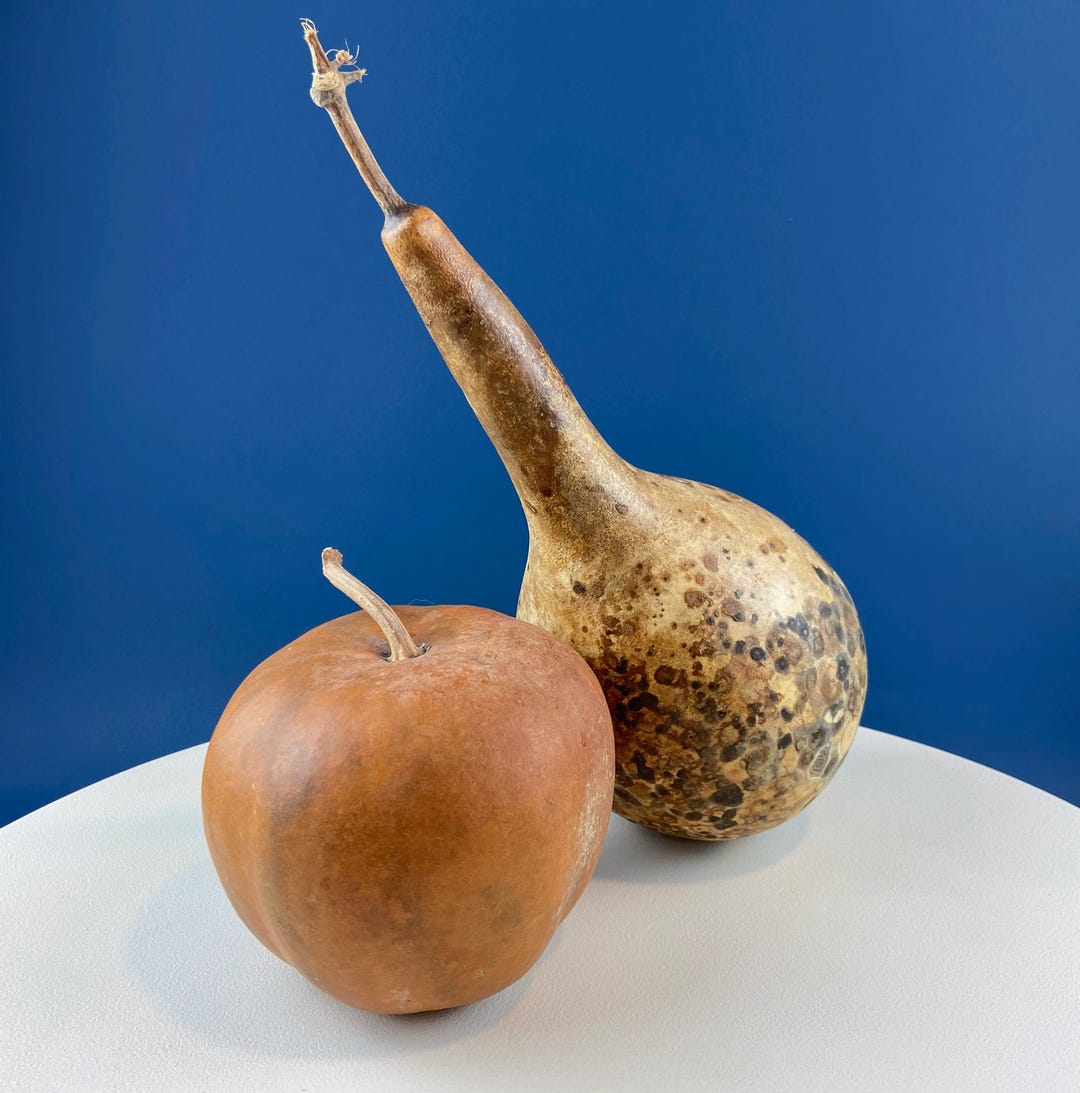 Real Natural Dried Gourds. Set of 2. Round & Long. Thanksgiving ...