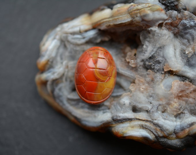 A Natural Chinese Fighting Blood Agate/warring States Red Agate Bead ...