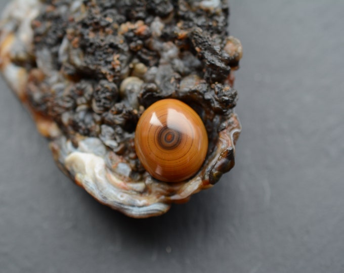A Warring States Agate Evil Eye/eye in the Sky/chinese Fighting Blood ...