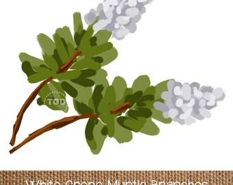 Crepe Myrtle Tree | Etsy