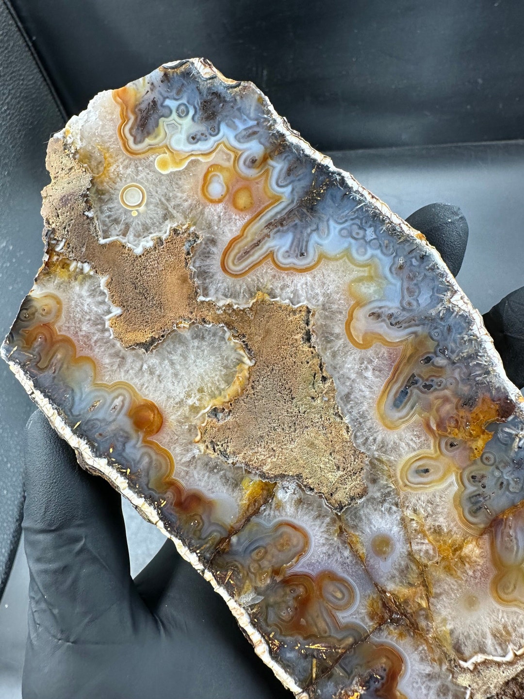 Trent Agate Polished Slab Rare Very Large Specimen Grade Oregon Agate ...
