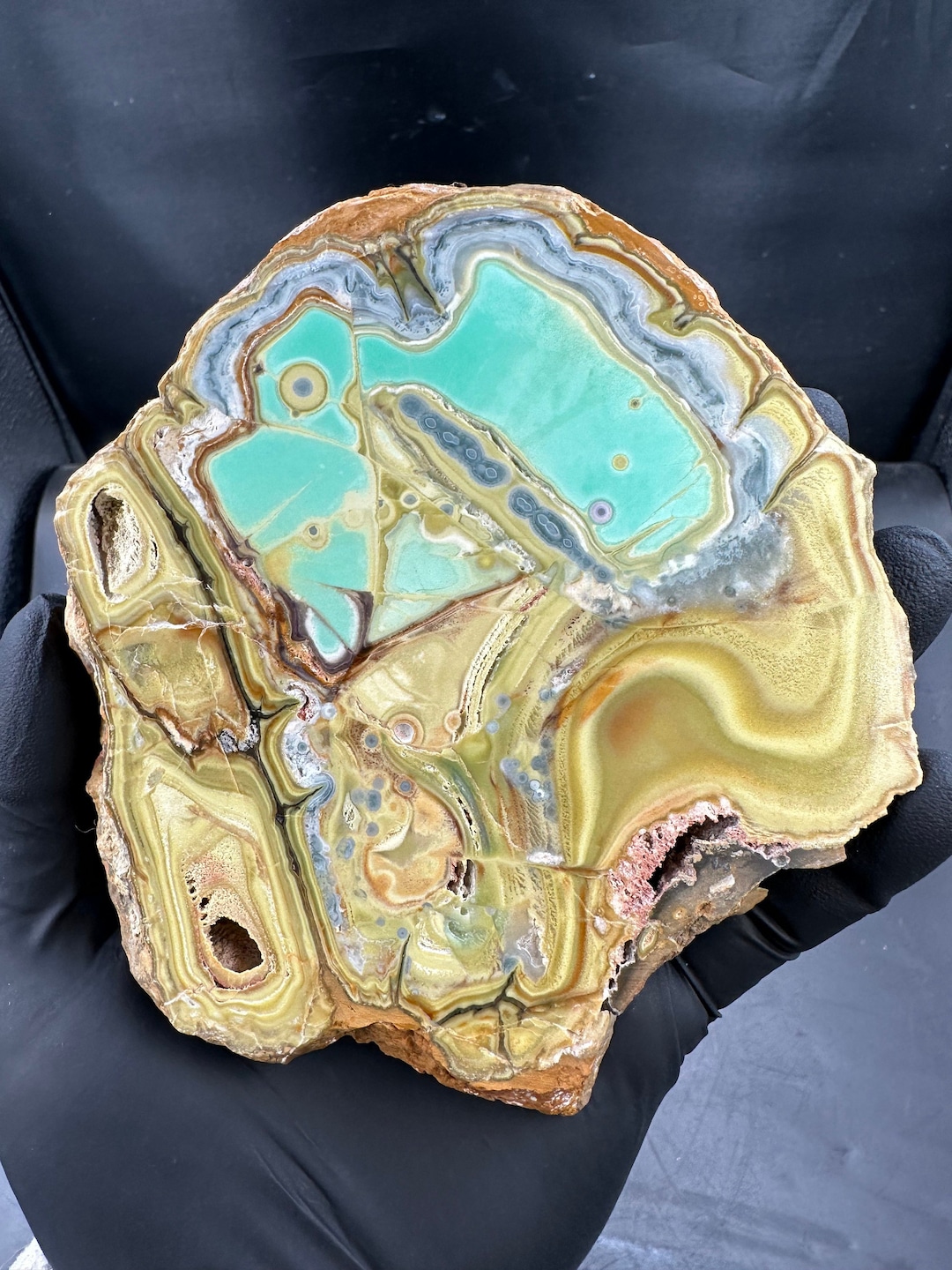 Clay Canyon Variscite Slab Little Green Monster Mine Fairfield Utah Old ...