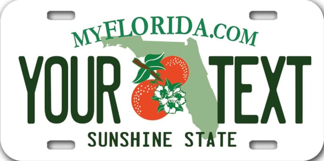 Florida Personalized Custom License Plate Your Name Any Text Custom 12 ...