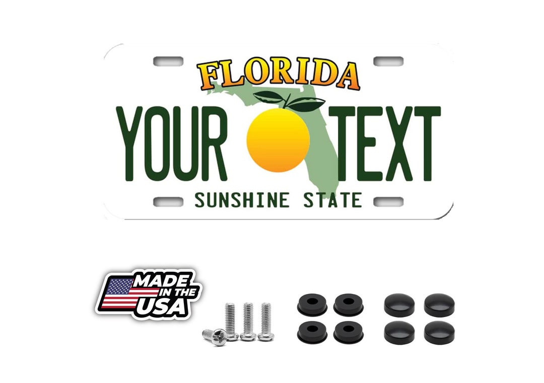 Florida Personalized Custom License Plate Your Name Any Text Custom 12 ...