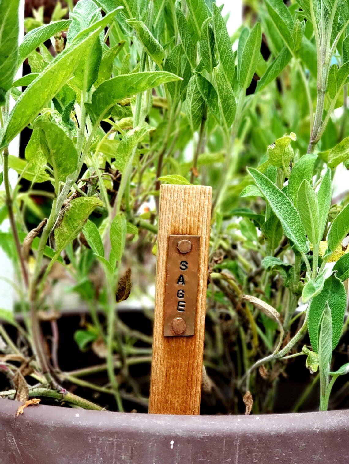 Herb Garden Stakes With Copper Tag (each) - Great Gardener's Gift! - Etsy