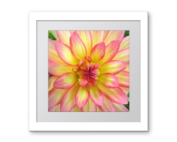 Items similar to Nature Photography Prints, Floral Photography, Flower ...