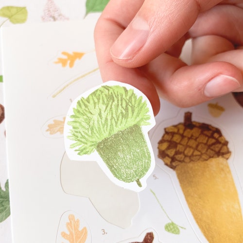 Acorn Stickers Nature Stickers Forest Stickers Planner - Etsy