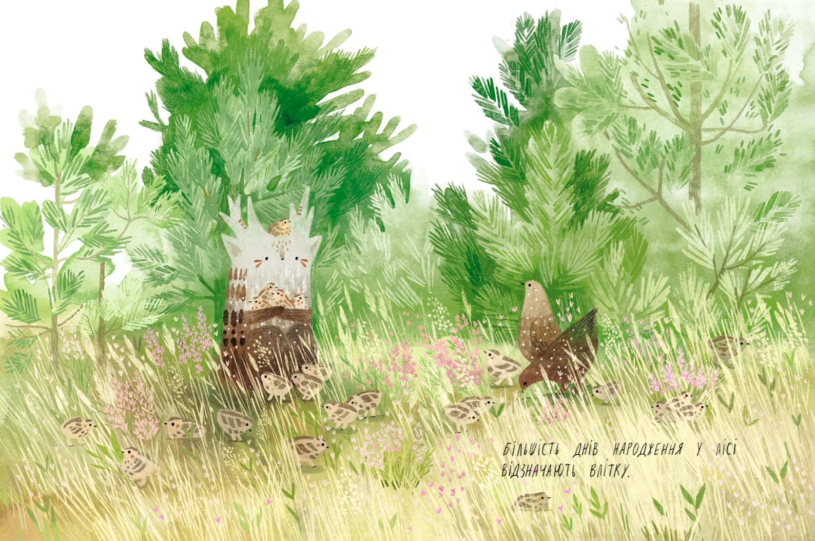 Children's Book - Tukoni Picture Book - Book for Kids - Badtime Stories ...