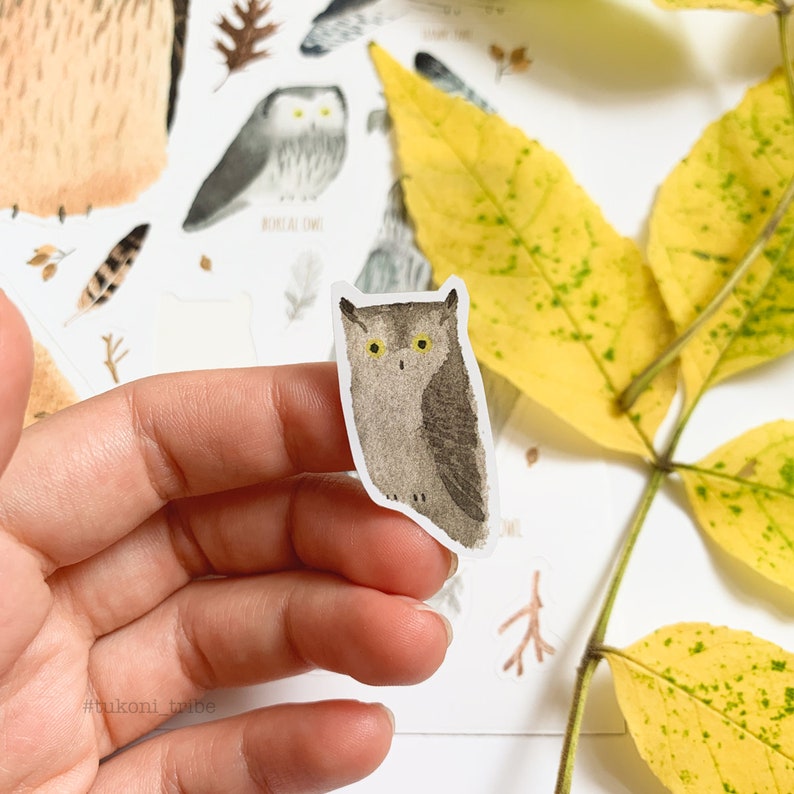 Owl Stickers, Barn Owl Art Sticker Sheet, Watercolor Stickers, Bird Art ...