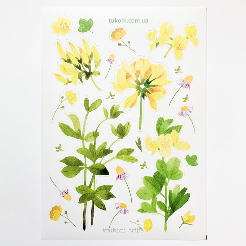 Flower Stickers Sheet Buttercup - Yellow Wildflowers Stickers - Matte ...