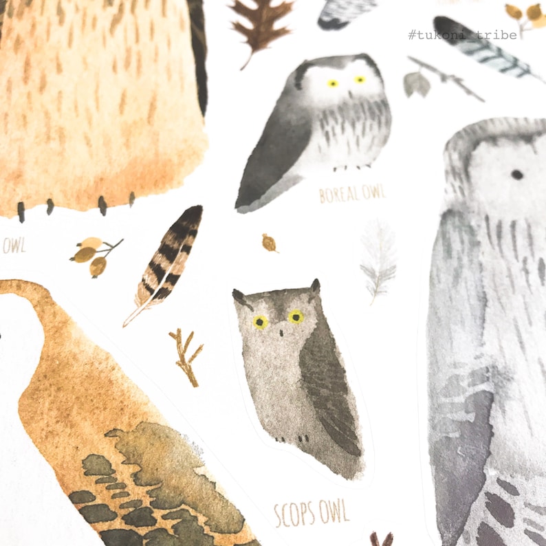 Owl Stickers Barn Owl Art Sticker Sheet Watercolor Stickers - Etsy