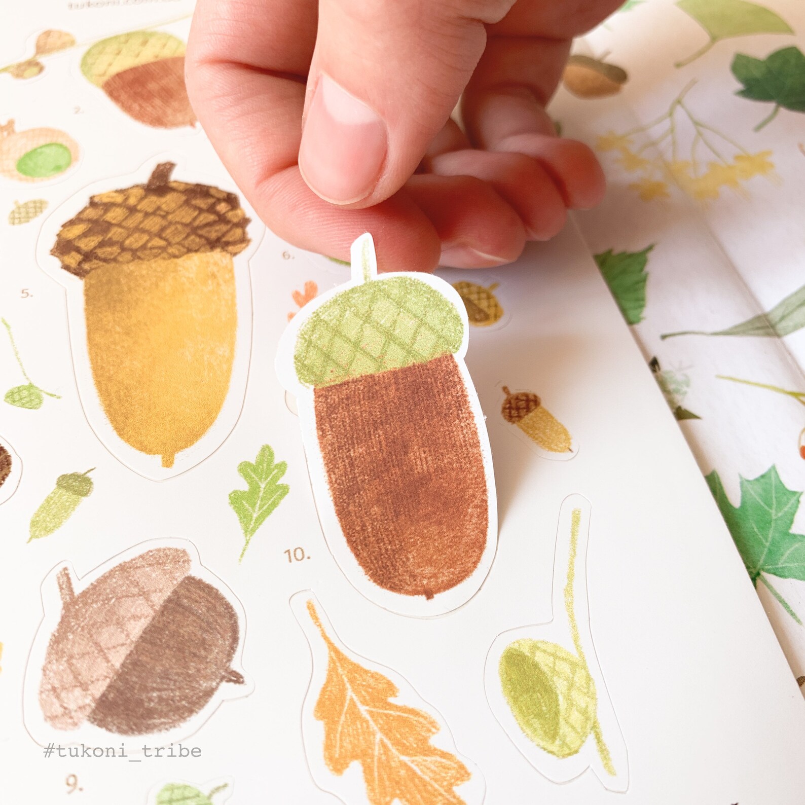 Acorn stickers Nature stickers Forest stickers Planner | Etsy