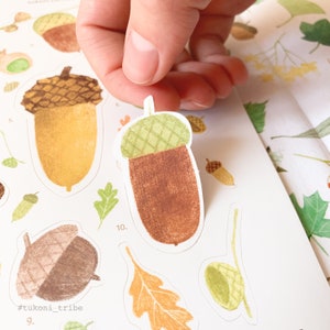 Acorn Stickers Nature Stickers Forest Stickers Planner Stickers Oak ...