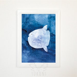 Mola Mola Print, Watercolor Illustration, Sunfish, Moonfish, Kids Room ...