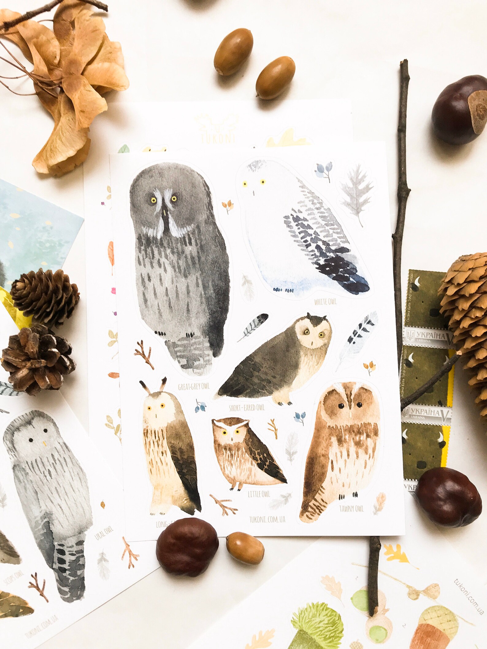 Owl Stickers Barn Owl Art Sticker Sheet Watercolor Stickers - Etsy