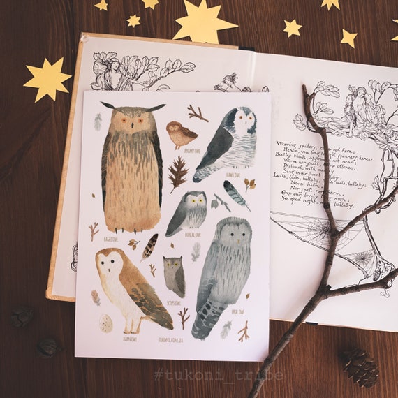 Owl Stickers Barn Owl Art Sticker Sheet Watercolor Stickers | Etsy