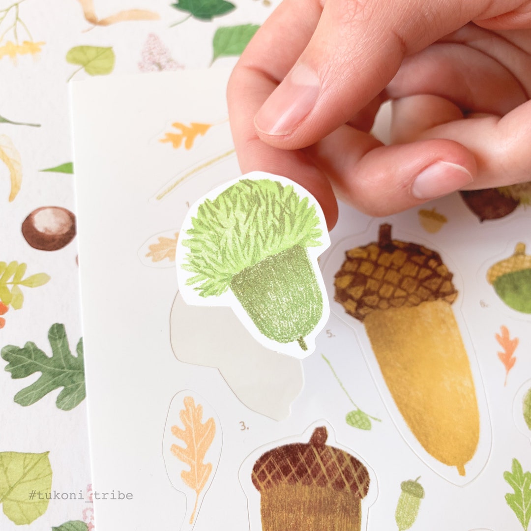 Acorn Stickers Nature Stickers Forest Stickers Planner - Etsy