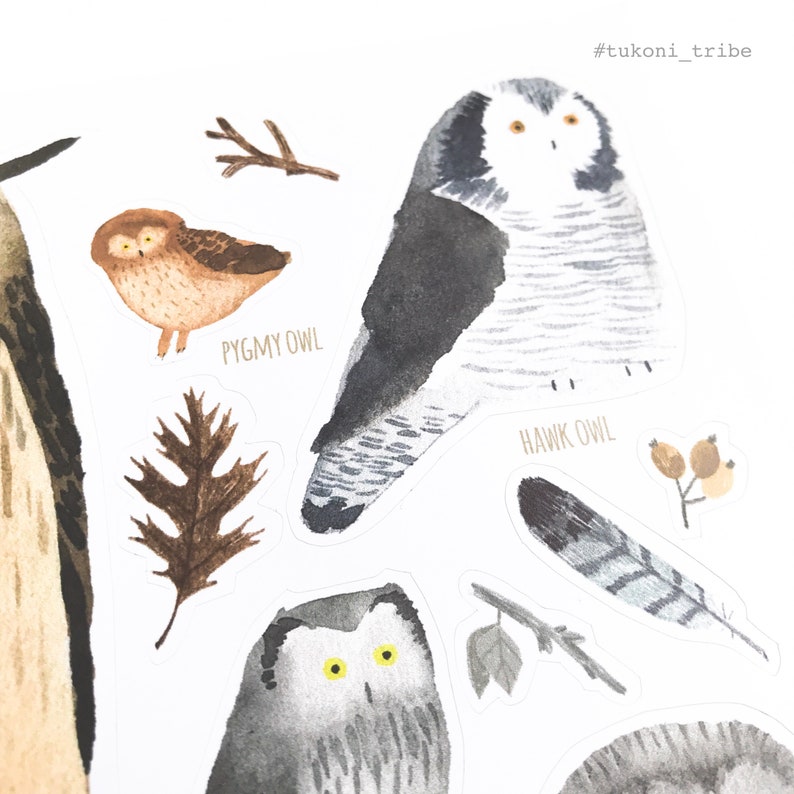 Owl Stickers, Barn Owl Art Sticker Sheet, Watercolor Stickers, Bird Art ...