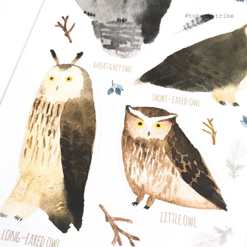 Owl Stickers Barn Owl Art Sticker Sheet Watercolor Stickers - Etsy