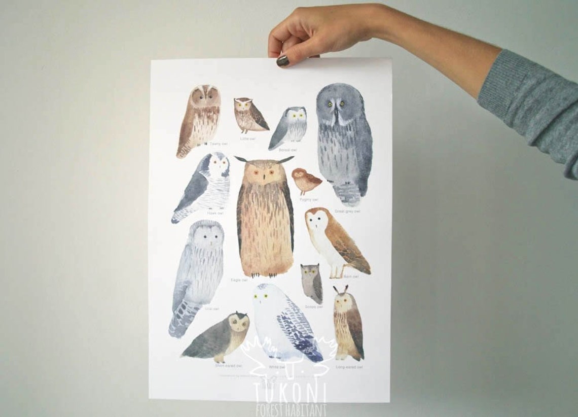 Owls A3 Print Watercolor Poster Owl Poster Owl Print Owl Art - Etsy