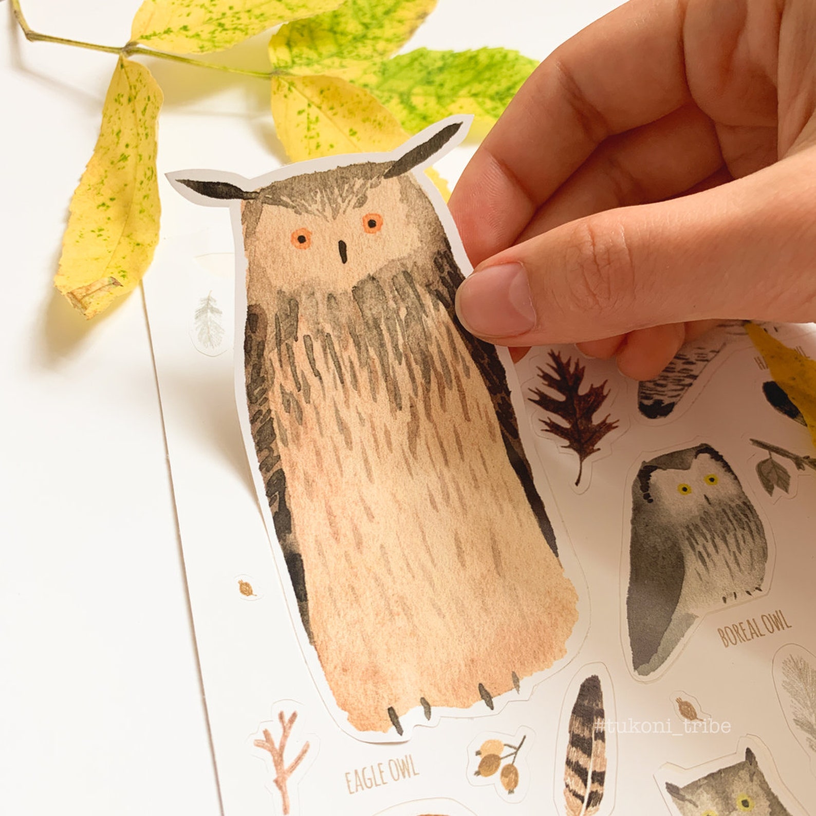 Owl Stickers, Barn Owl Art Sticker Sheet, Watercolor Stickers, Bird Art ...