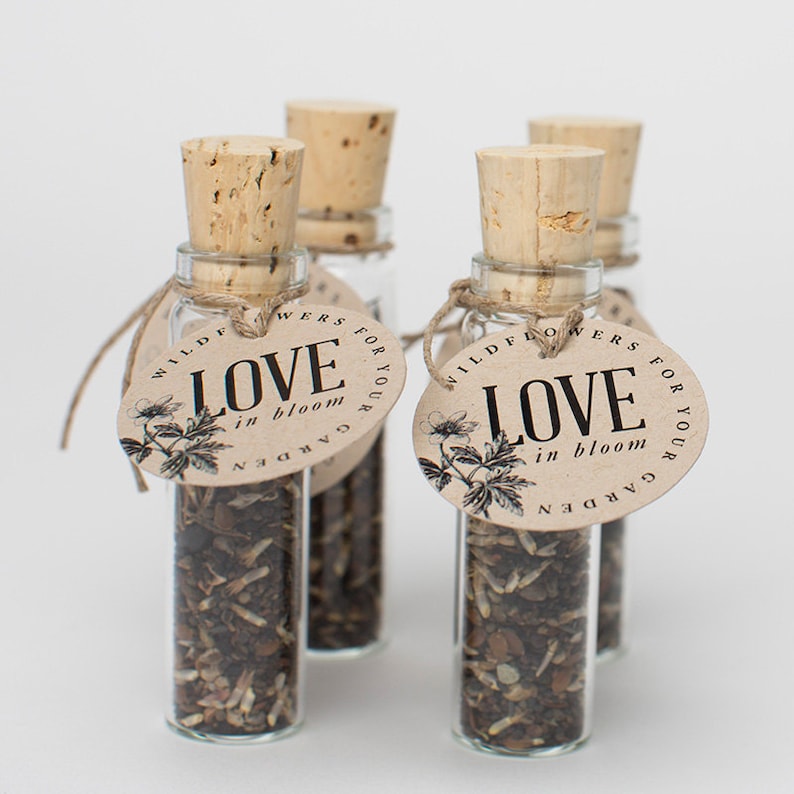 Wedding Favors 12 Glass Favor Bottles With Cork Wedding - Etsy